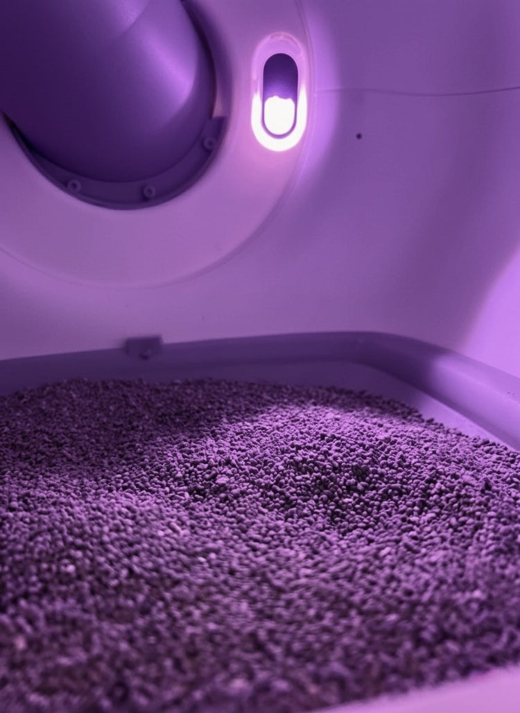 ZEDAR K1200 Automatische en zelfreinigende kattenbak – Zedar